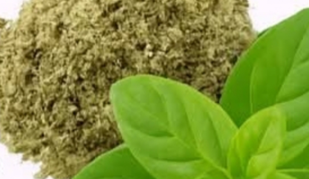 Oregano: The Small Plant with Big Health Benefits – MOMS COOKING