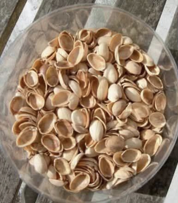Pistachio Shell Craft Ideas – MOMS COOKING