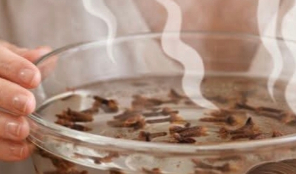 Clove Steam Inhalation: A Simple, Comforting Way to Support Easier ...