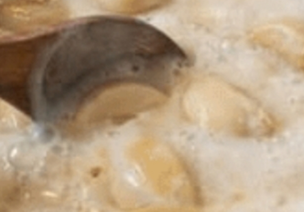 Boiled Garlic in Milk: Helpful Habit or Risk You Should Know? – MOMS ...